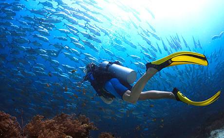 Voyager - High-speed ferry service from St Martin to St Barts ...