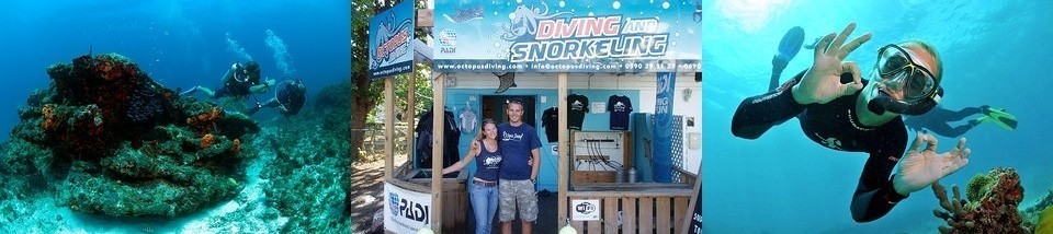 Unique St. Maarten Diving Experience - StMartinbookings.com